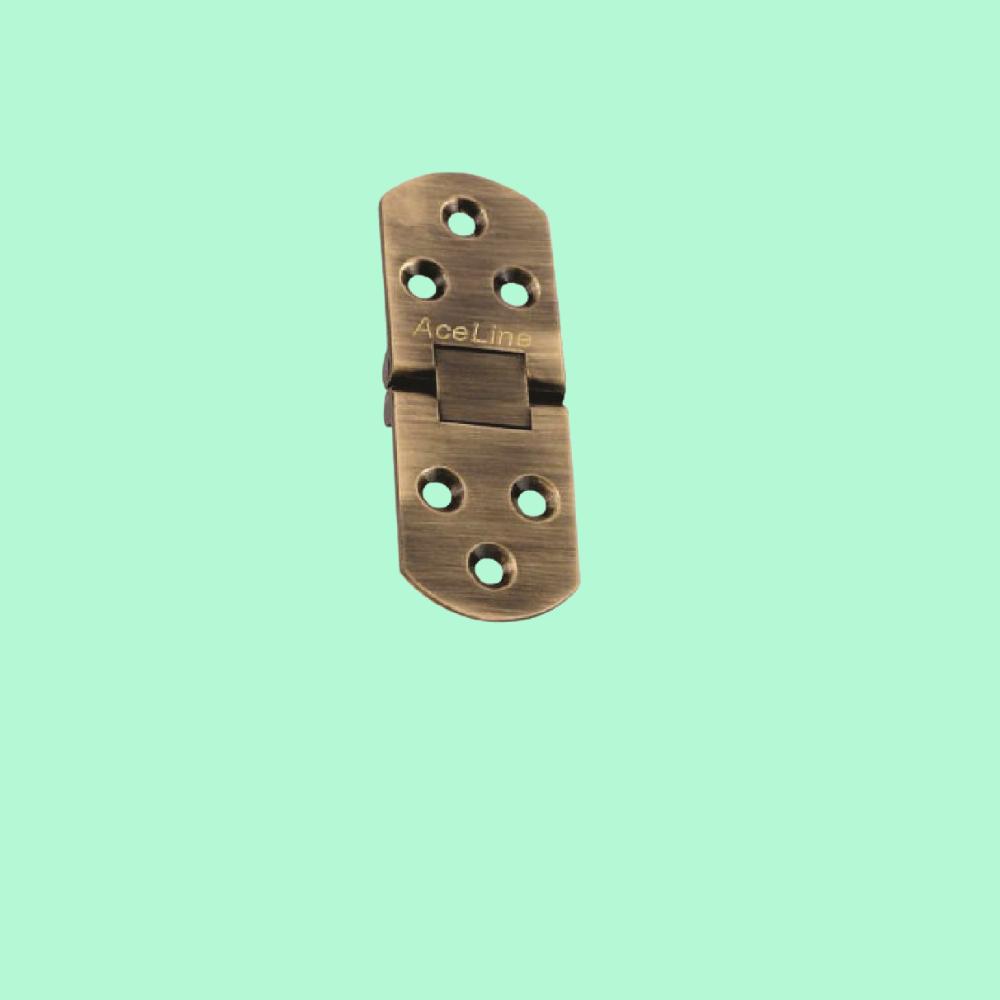 Innovative Brass Counter Hinges for Modern Spaces – Ace Hardware Pvt Ltd